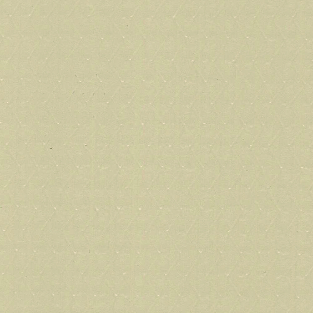 Privess™ Basic - Privacy Screen - Champion. Healthcare Furnishings.