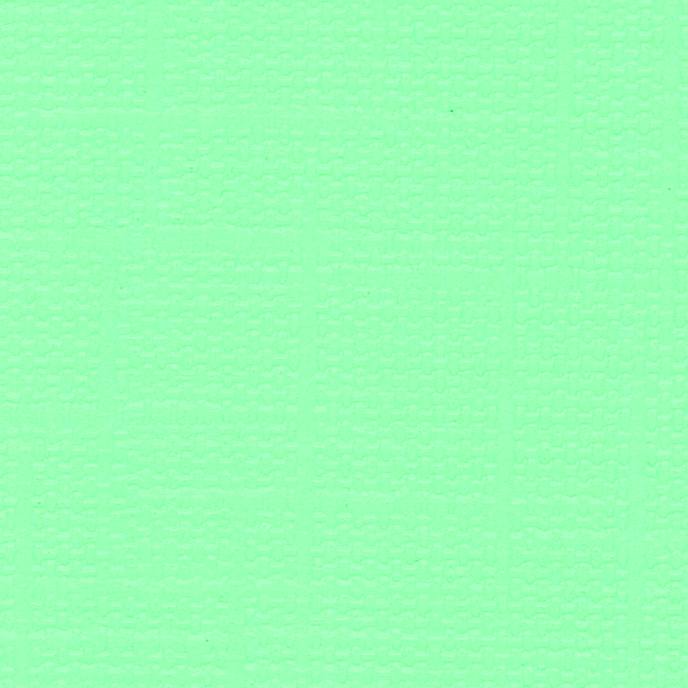 Privess™ Basic - Privacy Screen - Champion. Healthcare Furnishings.